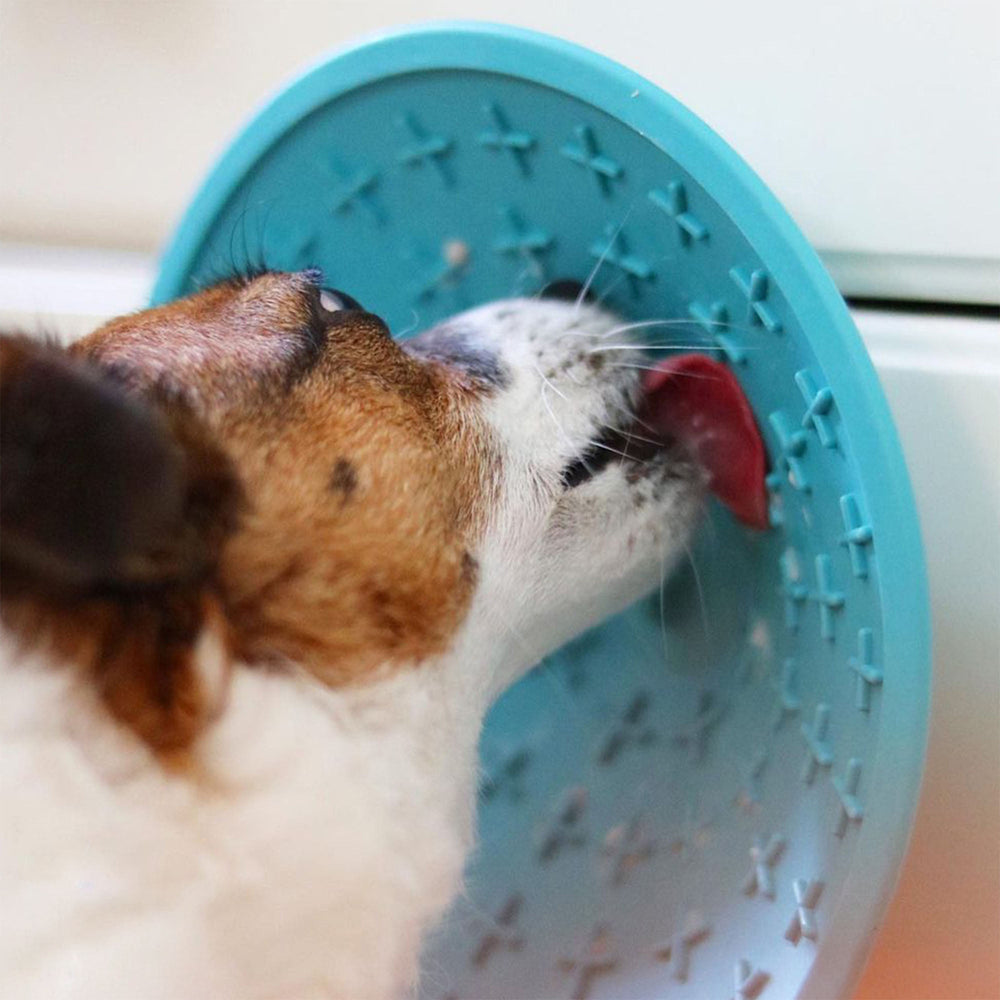 LickiMat UK | The Original Slow Feeder Lick Mat for Dogs & Cats